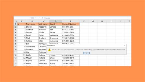 How To Protect Sheet But Allow Data Entry In Excel Sheetaki