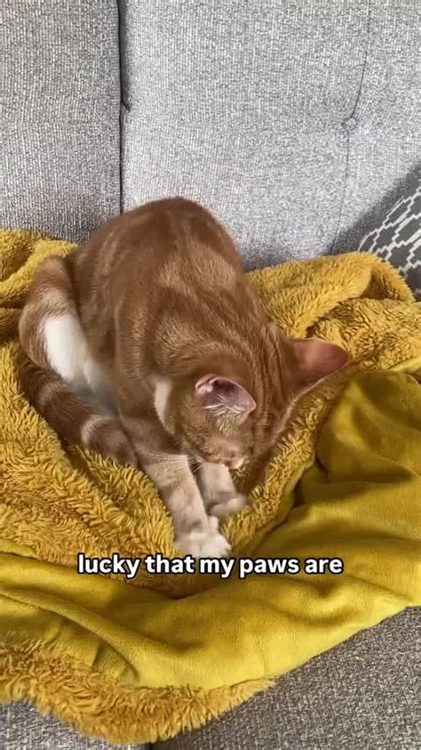 Sound Very Much On Album On Imgur