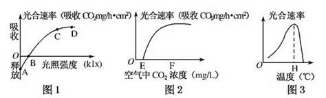 57光照强度 CO2浓度会影响光合作用 下图1表示在较低CO2浓度下 阳生C3植物的光合作用速率变化曲线 若其他条件不变 适当提高CO2浓度