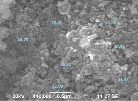 sem image of al2o3 nano particles download scientific diagram