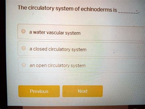 The Circulatory System Of Echinoderms Is A Water Vascular System A Closed Circulatory System