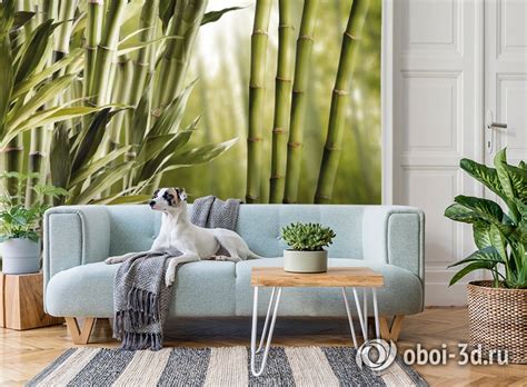 3D Фотообои «Бамбук» - купить в Москве, цена в Интернет-магазине Обои 3D