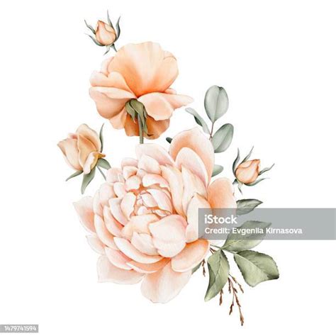 흰색과 분홍색 꽃의 수채화 꽃다발 녹색 잎 삽화 청첩장 엽서를 위해 흰색 배경에 격리 0명에 대한 스톡 벡터 아트 및 기타 이미지 Istock