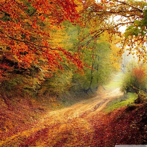 Autumn Tablet Wallpapers Wallpaper Cave