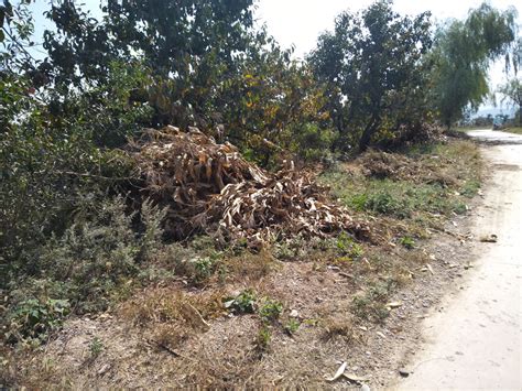 此身如传舍，何处是吾乡 牧人池塘 Dba杂谈录