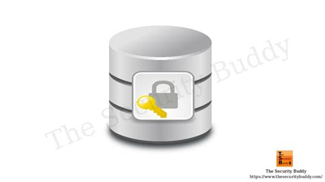 What Is Database Encryption And Why Do We Need That The Security Buddy