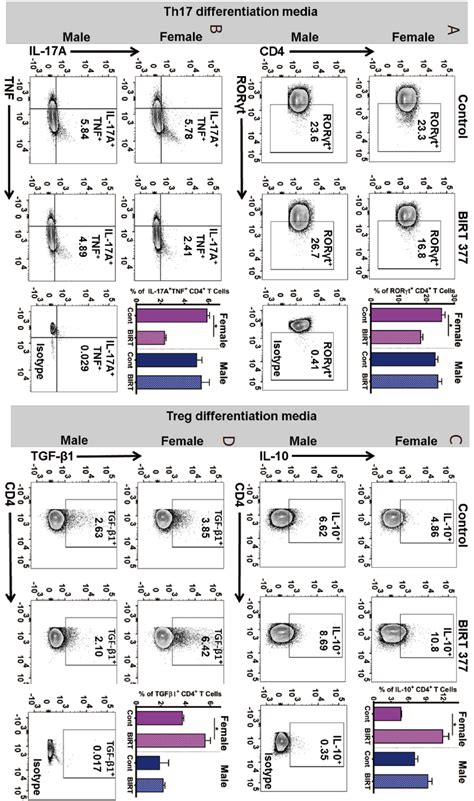 Lfa 1 Antagonist Birt377 Similarly Reverses Peripheral Neuropathic