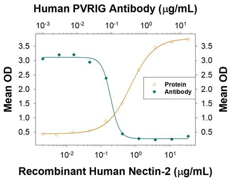 Human Pvrig Antibody Mab93652 100 Randd Systems