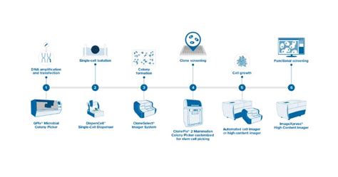Clone Screening Molecular Devices On Linkedin Lab Automation For High Throughput Clone Screening