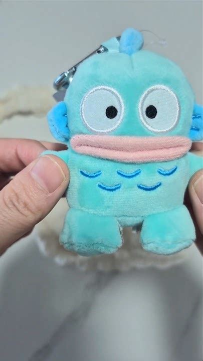 난 무서운 공룡 산리오 한교동 키링 산리오 인형 키링 Sanrio 캐릭터 핫템 Youtube