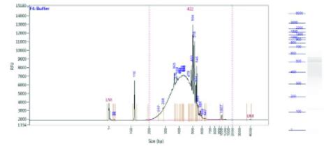 19 Qualitative And Quantitative Visualisation Of NGS Libraries With Download Scientific