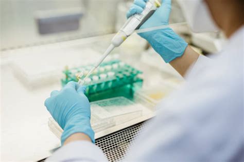 Medical Lab Errors Attorney Lab Test Negligence Claims