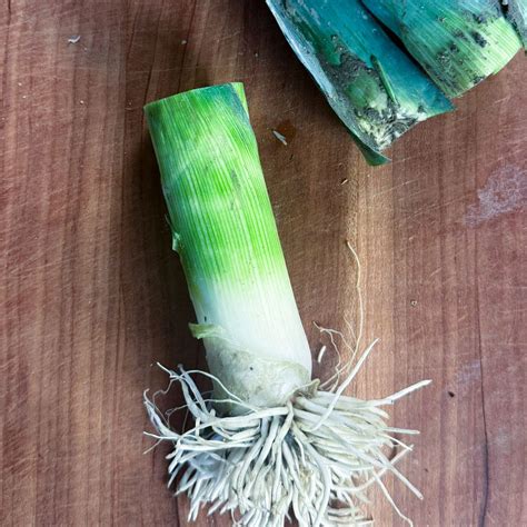 How To Clean And Cut Leeks Hungry Hobby