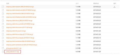 Cve 2021 3019【lanproxy 任意文件读取漏洞复现】 Csdn博客