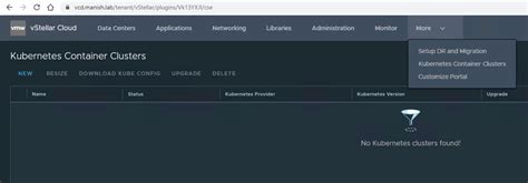 Native Kubernetes In Vcd Using Container Service Extension 30