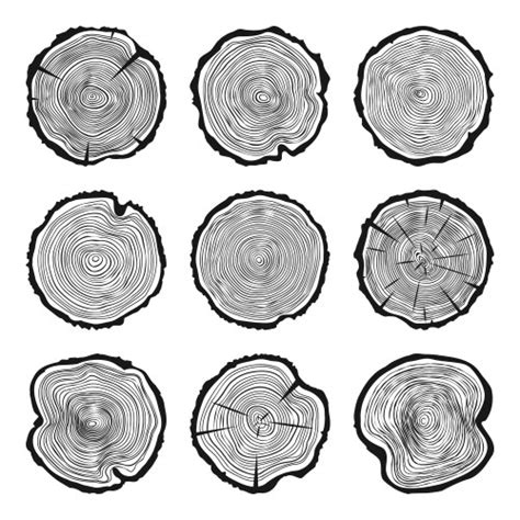 Round Tree Vector Images Over 39 000