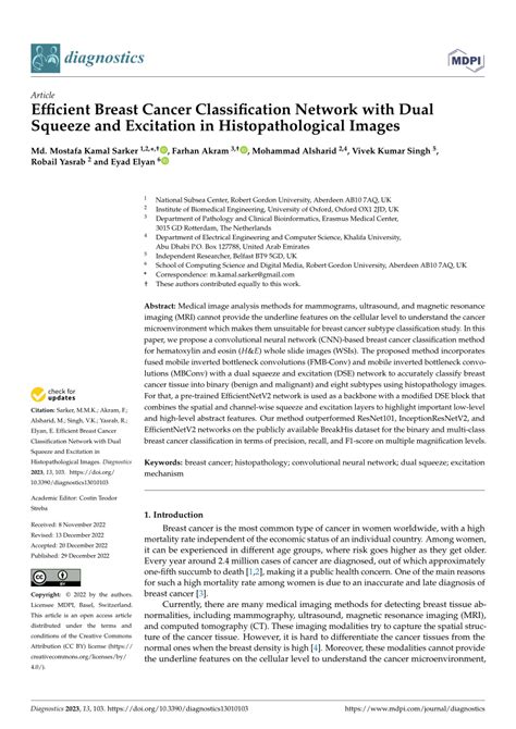 Pdf Efficient Breast Cancer Classification Network With Dual Squeeze And Excitation In