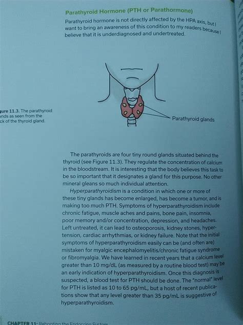 Pin By Carole Lowney On Parathyroid Thyroid Gland Hpa Axis Gland