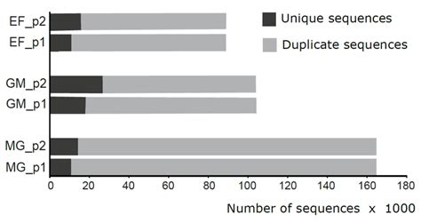 unique and duplicate sequences of the amplified bacterial 16s rrna gene