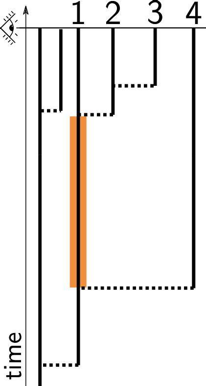Finding The Mutation Frequency Spectrum Mutation Shared By 3