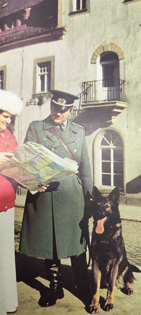 Some Facts About DDR German Shepherds That You Should Know STASI Kennel