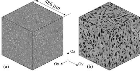 Reconstructed Microstructure Of 20 Vol Al 2 O 3 Reinforced Al 6061 Mmc Download Scientific