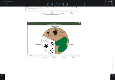 Lab Flashcards Quizlet