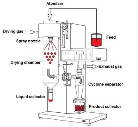 Equipment Configuration For Microencapsulation Of Vitamin C Via