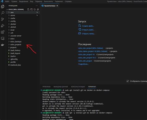 Использование менеджера разработки проектов для Windows Odoo Articles