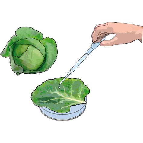 Bộ Kit 41 Thí Nghiệm Về Nano Thames And Kosmos Nanotechnology Science Experiment Kit