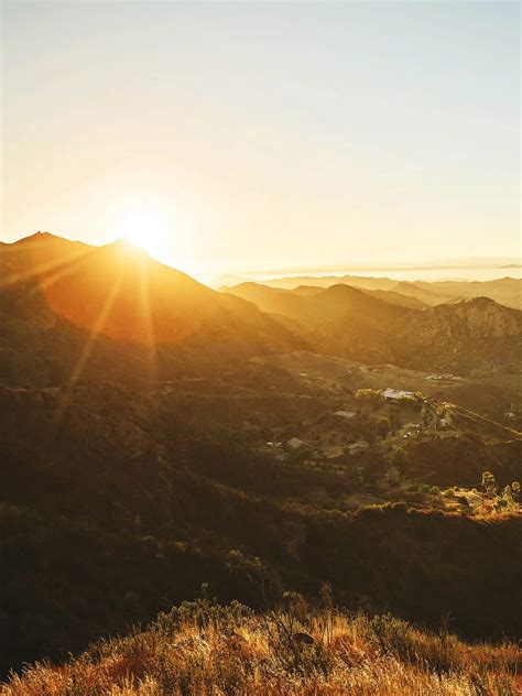 Chris Cusiter Rugby Journal