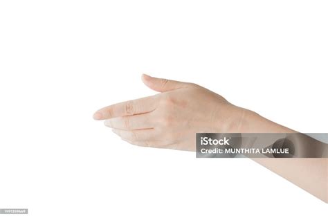 여자가 손을 뻗는다 하얀 배경에 고립된 빈 열린 여자 손 여성의 손입니다 여자에 대한 스톡 사진 및 기타 이미지 여자 비어 있음 손톱 Istock