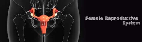 Get Clarification On New Code Z36 87 Reader Question