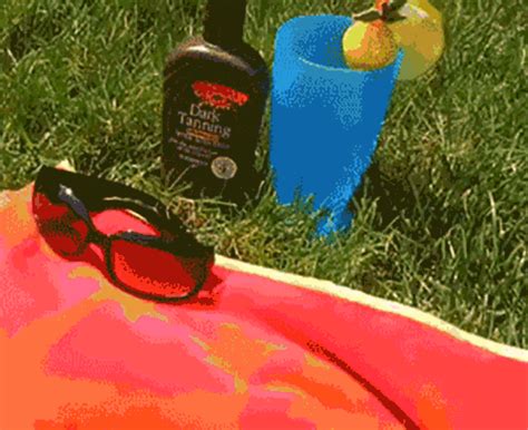 Its Hot Husky Shades Sunglasses Sunbathing 