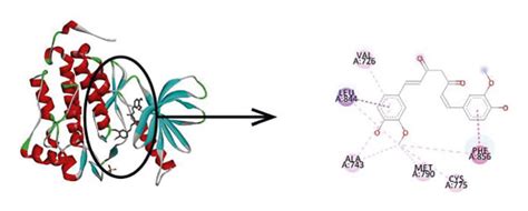 Three Dimensional And Two Dimensional Representation Of The Interaction Download Scientific