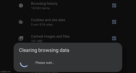 Like A Quarter Of The Browsing History Is Just E Imgflip