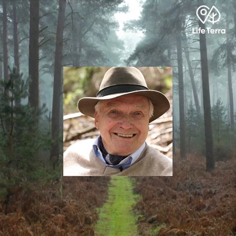 How this 92-year-old German forester has seen our forests change over ...