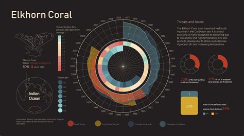 Marine Species Data Visualisation Angela Zhou