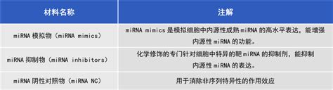 干货 如何用双荧光素酶报告基因研究mirna与靶基因互作 知乎