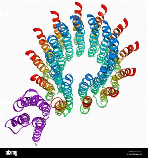 ATP Synthase Molecule Stock Photo Alamy