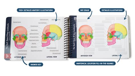 Anatomy Label Lab Workbook® Nurseinthemaking