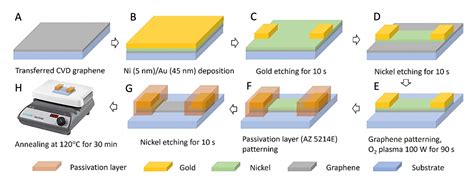 Video Development And Functionalization Of Electrolyte Gated Graphene Field Effect Transistor
