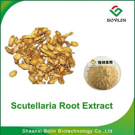 Scutellaria Root Extract China Scutellaria Root Extract Manufacturers