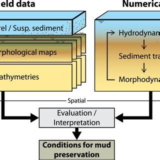 Conceptual Figure Of The Methodology Which Combines Field Data And A Download Scientific