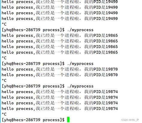 【linux系统编程】通过系统调用获取进程标识符 及 创建子进程（fork） 获取进程号的系统调用 csdn博客