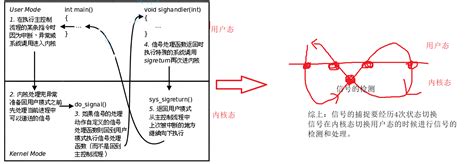 linux 信号和线程 linux 线程 信号 csdn博客