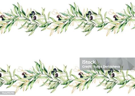 올리브 가지와 나뭇잎 수채화와 황금 스케치 원활한 국경 손으로 그린 꽃 그림 흰색 배경에 고립 디자인 또는 인쇄를 위한 식물 배너입니다 녹색 식물 올리브 가지에 대한 스톡