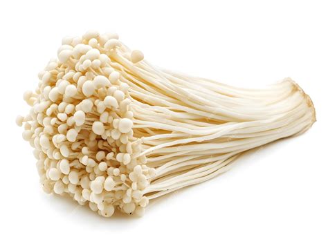 A Cluster Of Fresh White Enoki Mushrooms On A White Background