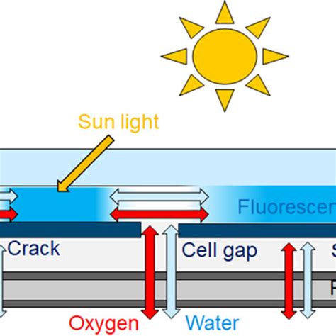 Schematic Representation Of The Cross Sectional View Of A Pv Module