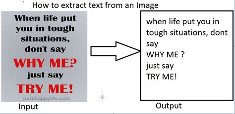 Extract Text From The Image Udzial